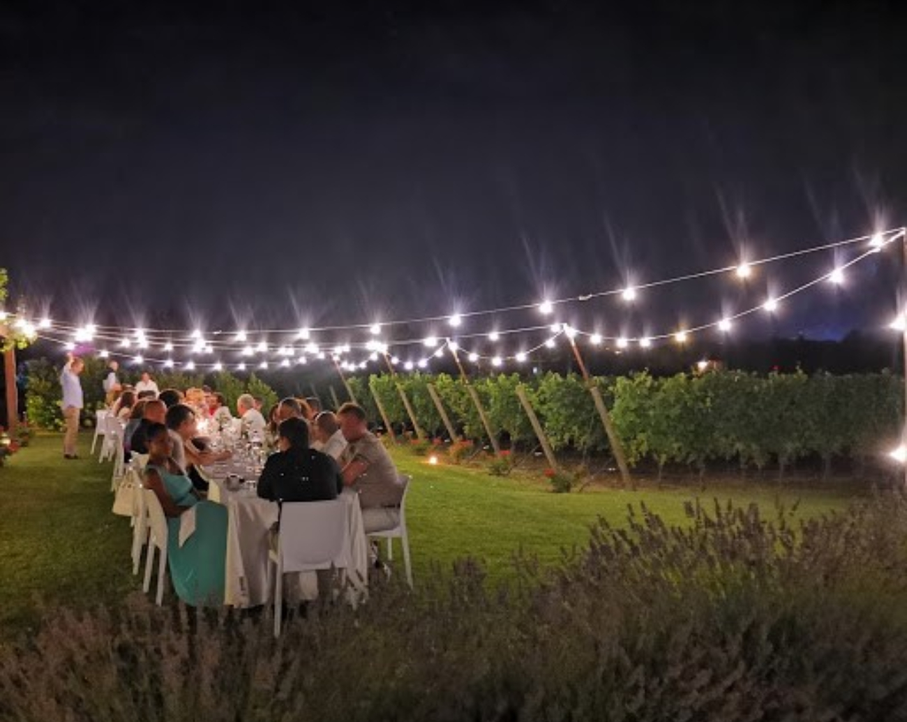 La cena in vigna da Montonale