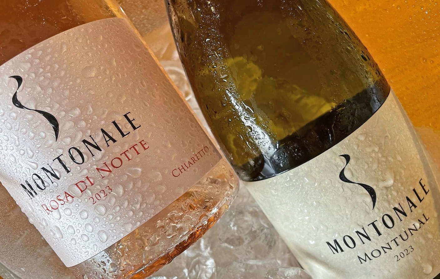 The new vintage 2023 at Vinitaly fair