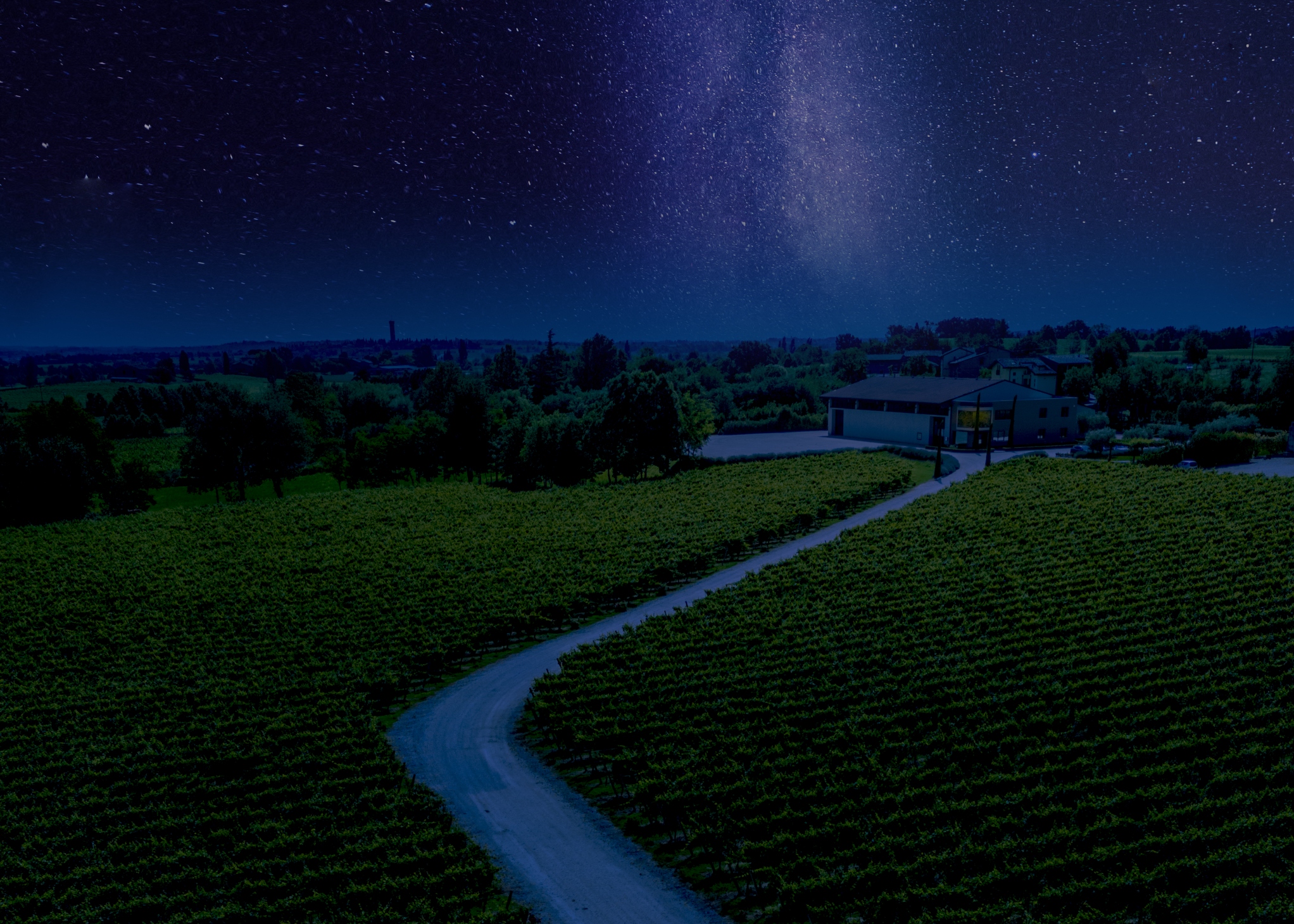 A San Lorenzo torna Stelle su Montonale